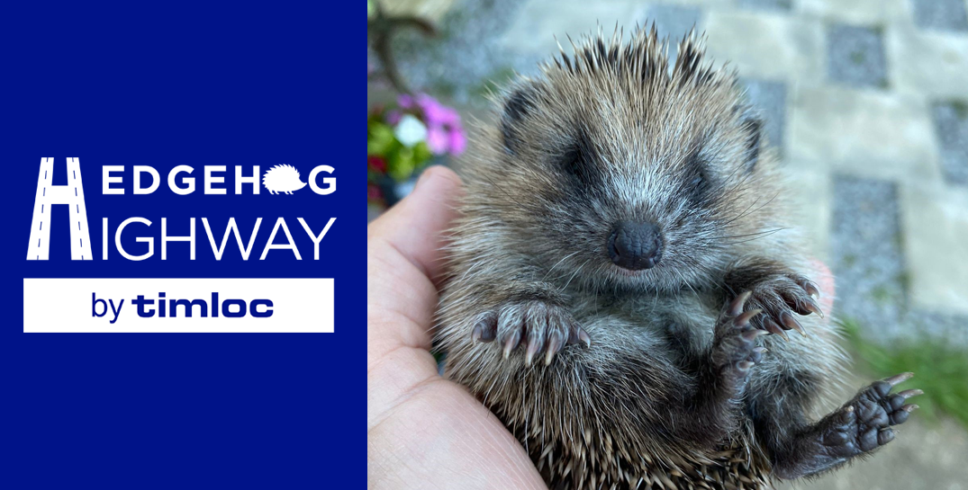 RTV-ADMULTI | Multi Stepped Duct Adapter - Timloc Building Products